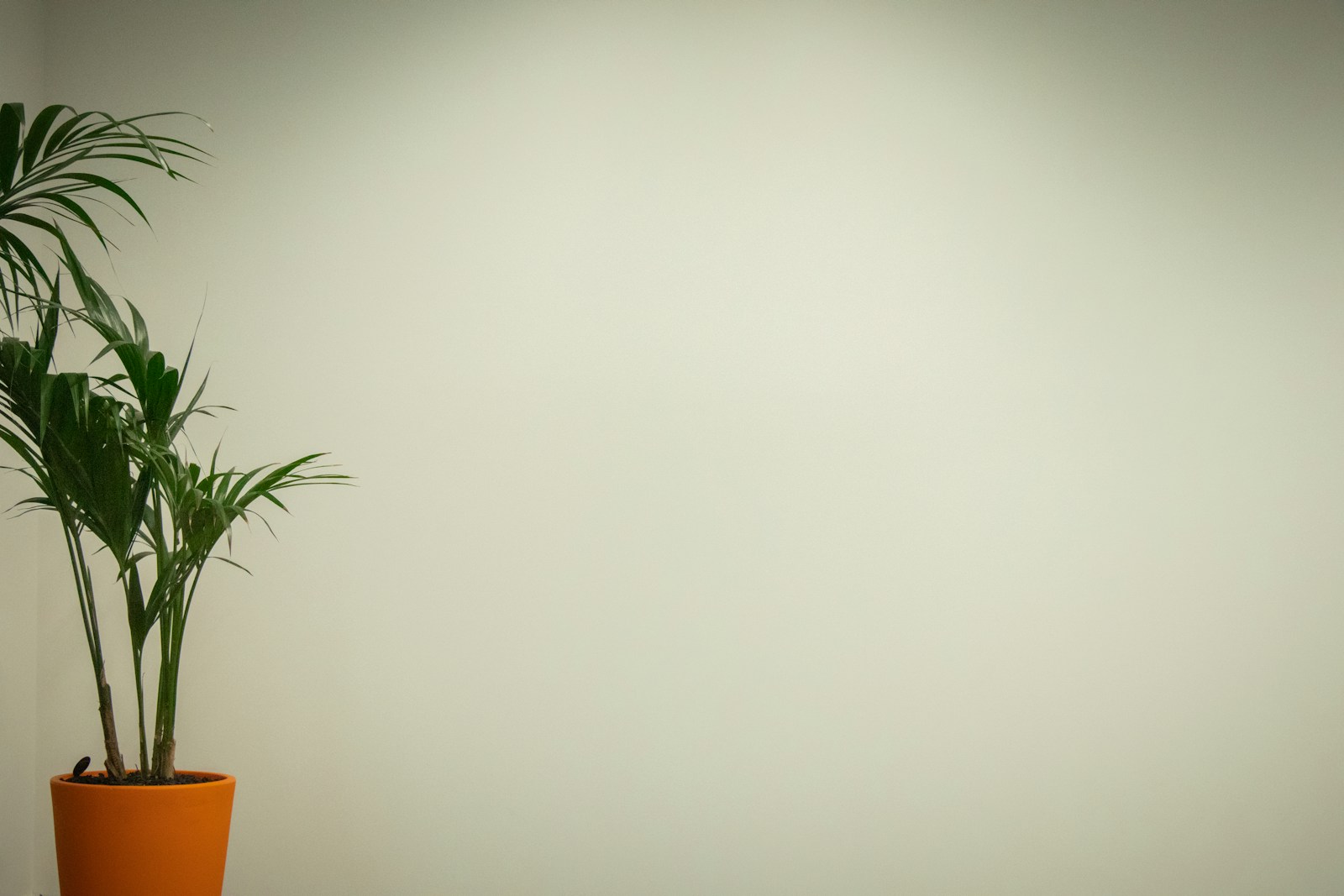 Furniture: Providing products for your office | TOYO TAPER CO., LTD